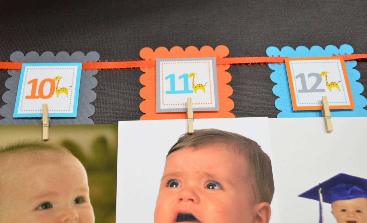 First Year Photo Clips, First Year Banner, Giraffe Birthday Party, Any ...